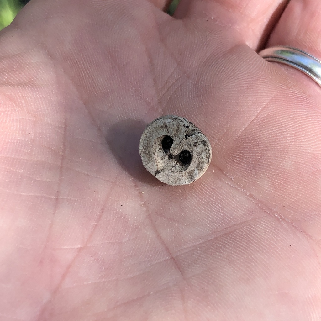 Little Walnut from Christoval, TX, US on April 29, 2023 at 09:45 AM by ...