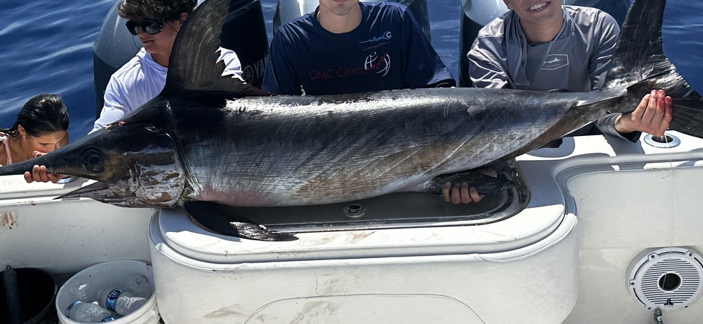 Broadbill Swordfish from Straits of Florida on April 14, 2023 at 02:09 ...