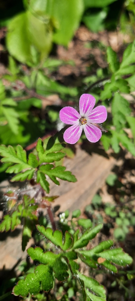 Ruberta from York YO23 3PP, UK on May 23, 2023 at 10:17 AM by Jonathan ...