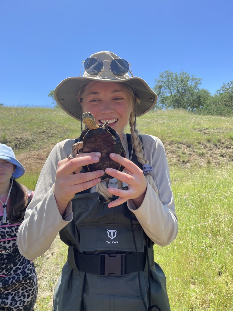 Western Pond Turtle from Mount Hamilton, San Jose, CA, US on May 22 ...