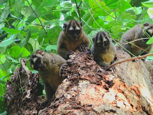 Photo 291324891, (c) Maria Camila Hoyos Chanci, all rights reserved ...