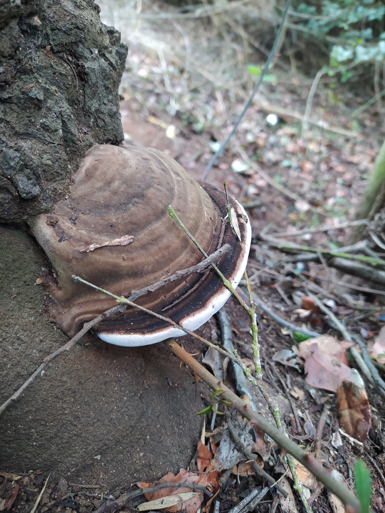 southern bracket from Viña del Mar, Valparaíso, Chile on June 21, 2023 ...