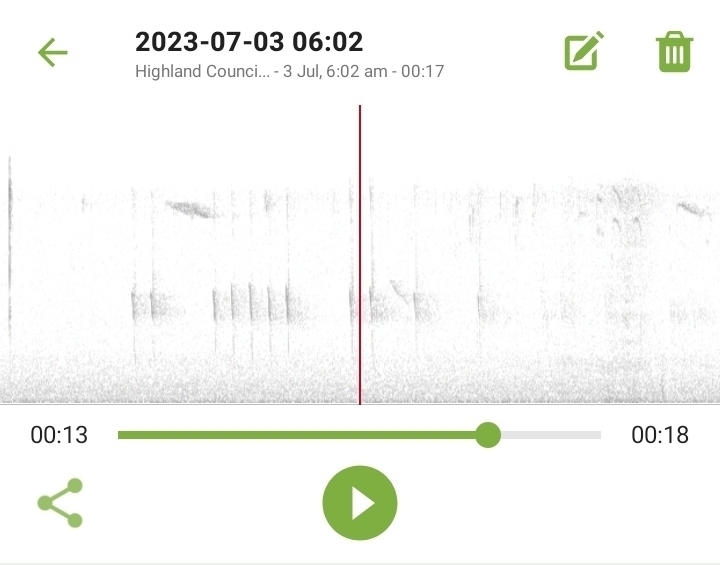 Scottish Crossbill from Nethy Bridge PH25 3EF, UK on July 3, 2023 at 06 ...