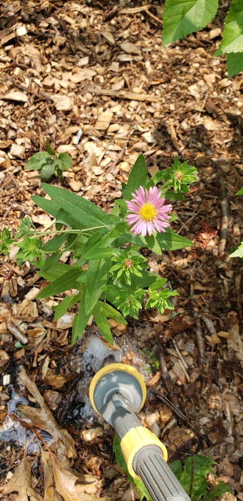 Something from Woodbridge, VA 22191, USA on June 29, 2023 at 12:53 PM ...