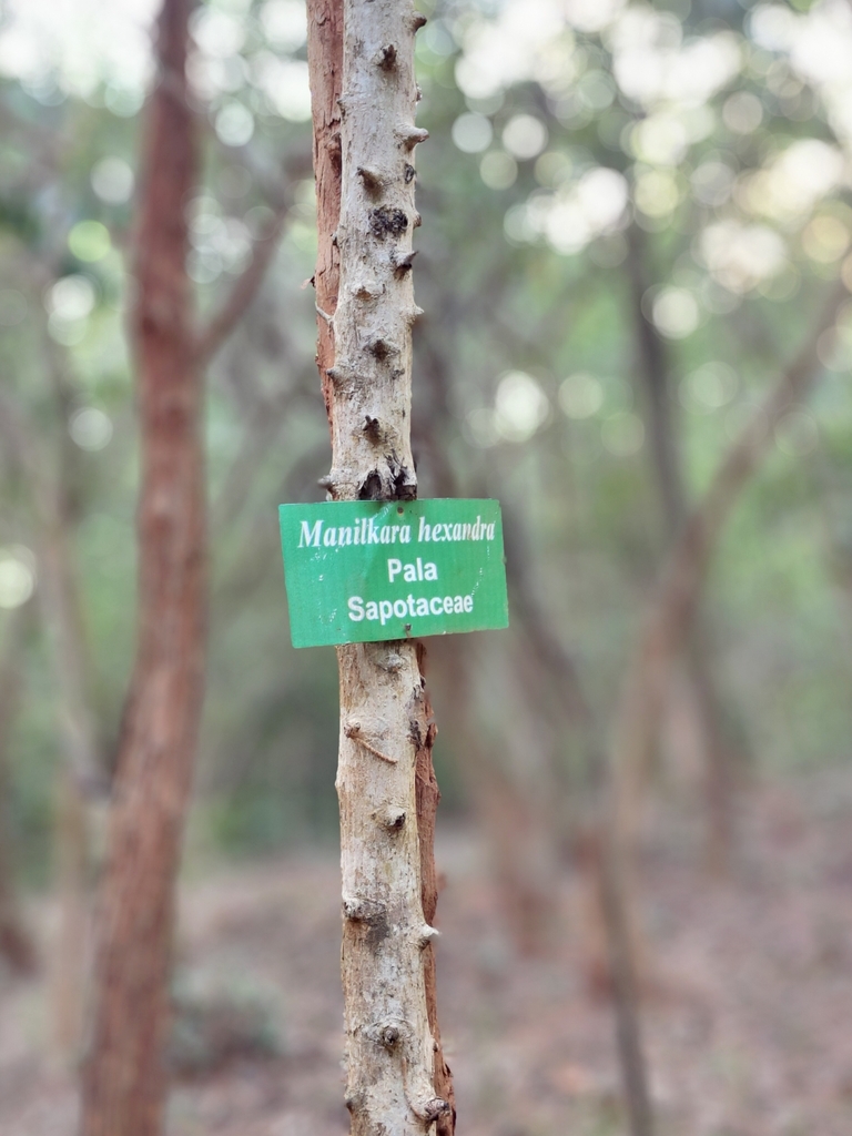 rayan from Q954+R66, Kambalakonda Eco Tourism Park, Visakhapatnam ...