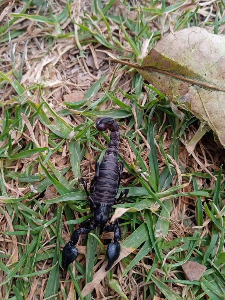 Iurida from Puente 1 (S-n), Quito, Ecuador on June 1, 2023 by Daniel ...