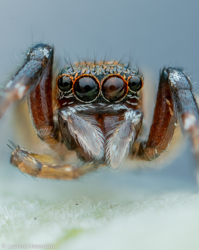 Natta from Axali Doeseb Street, Windhoek, Khomas, NA on May 12, 2023 at ...