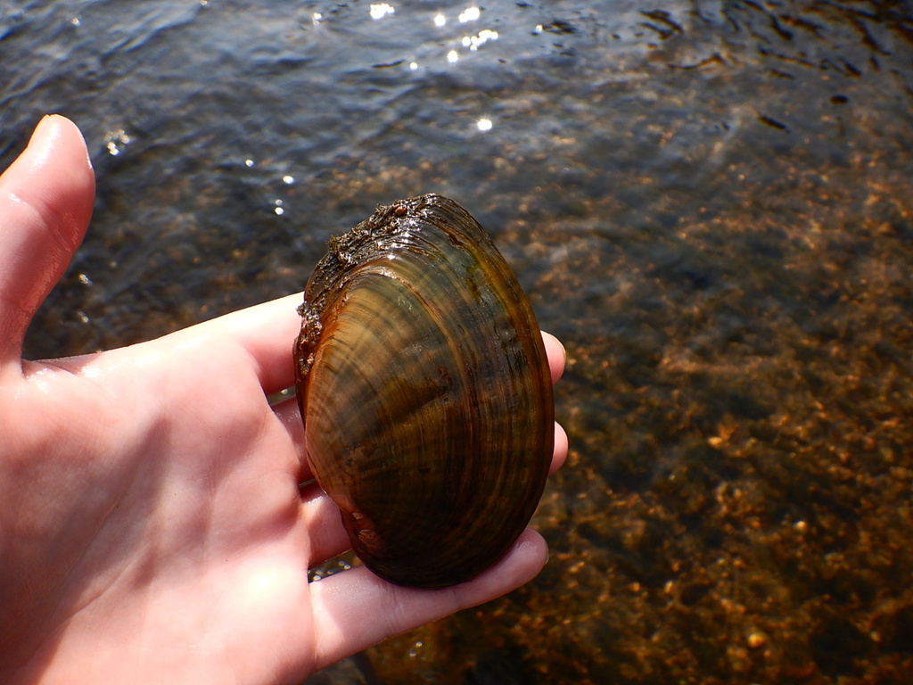 Mucket from I-90 W, Cherry Valley, IL, US on July 25, 2023 at 06:27 PM ...