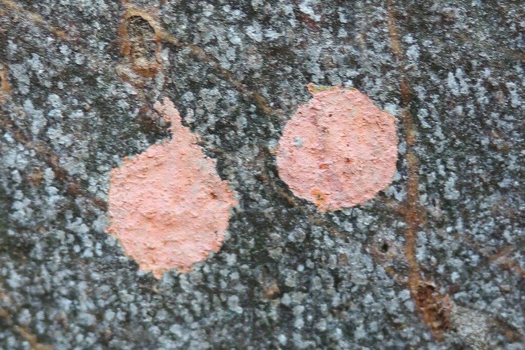 Life from Melbourne VIC, Australia on July 27, 2023 at 12:02 PM by ...