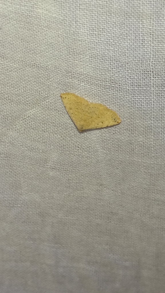 Butterflies and Moths from Sardar Shitole Wada on July 31, 2023 at 09: ...