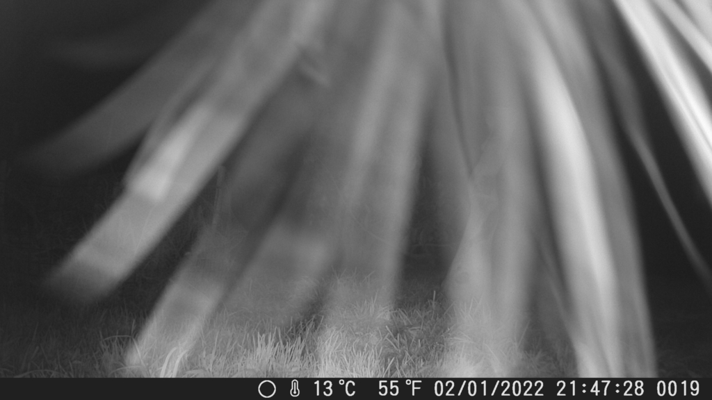 Birds from Wallaga Lake NSW 2546, Australia on January 2, 2022 at 09:47 ...