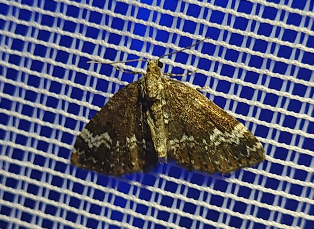 Small Rivulet from Pfaffing, 83339 Chieming, Deutschland on August 8 ...