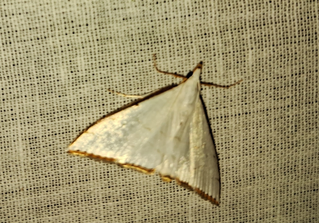 Ramila from Abhinay Natural Homestay on July 29, 2023 at 12:32 AM by ...