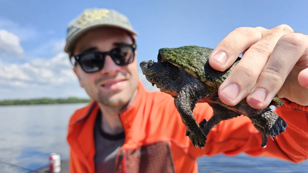 Eastern Musk Turtle in August 2023 by Owen Ridgen. Bizarre find ...