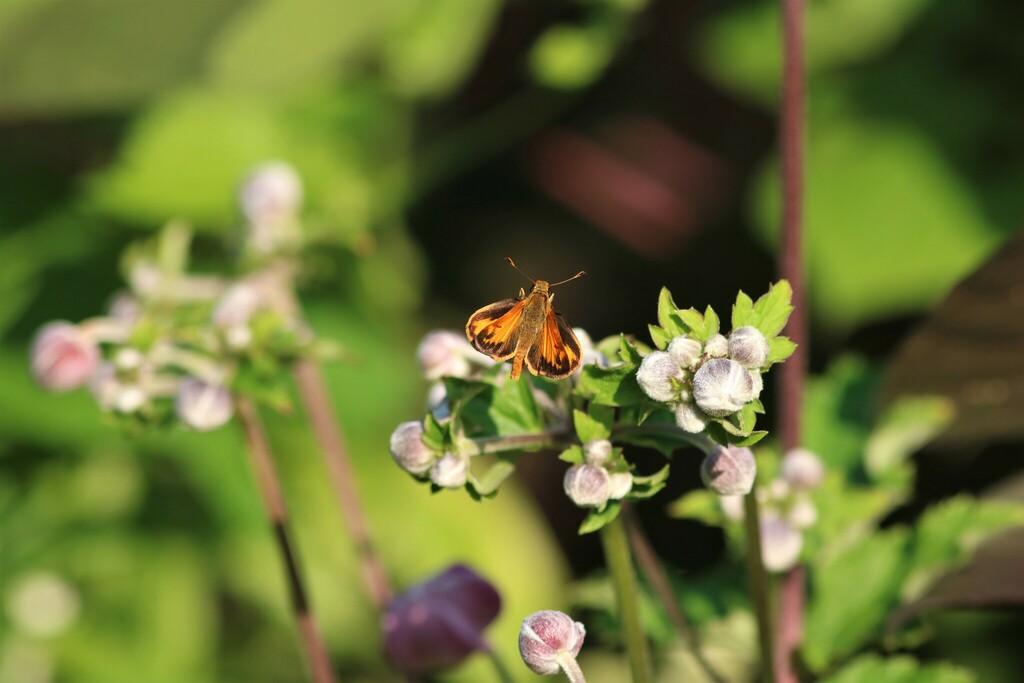 Zabulon Skipper from Near Westside, Indianapolis, IN, USA on August 1 ...