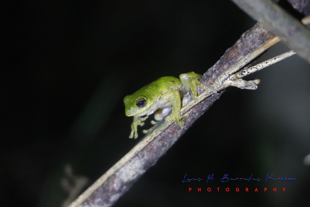 Calates desde Rancho El sinaí- Jilotepec, Ver., México el 18 de agosto ...
