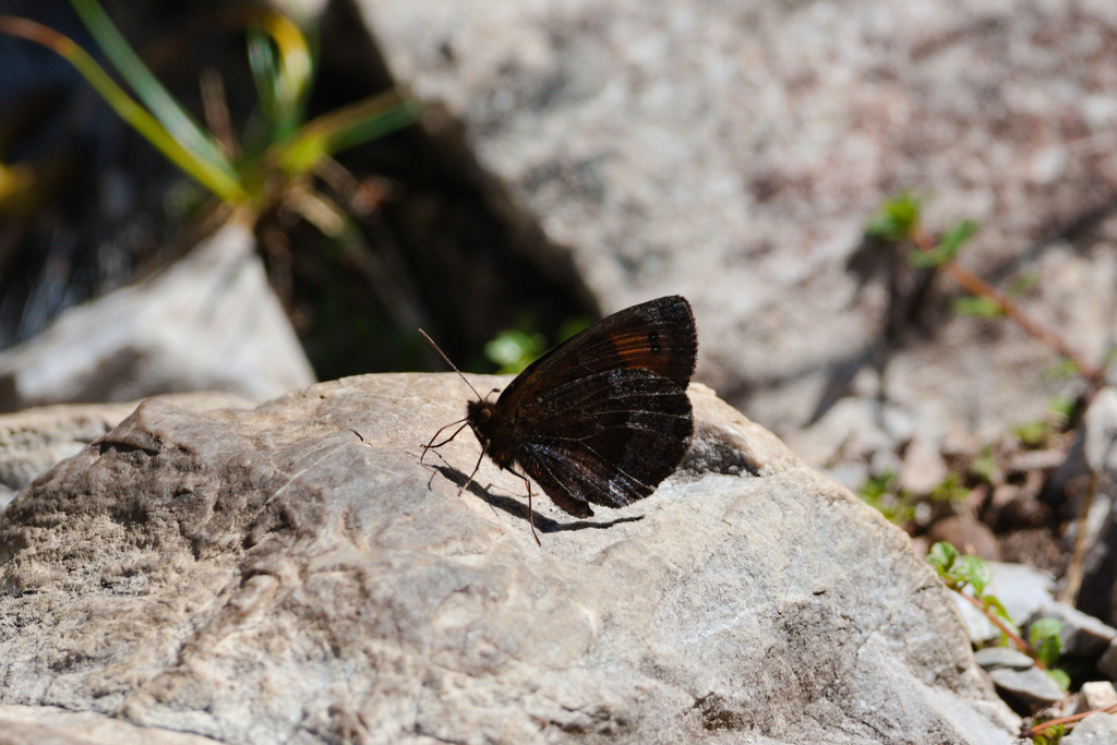 Water ringlet from 87561 Oberstdorf, Germany on August 19, 2023 at 12: ...