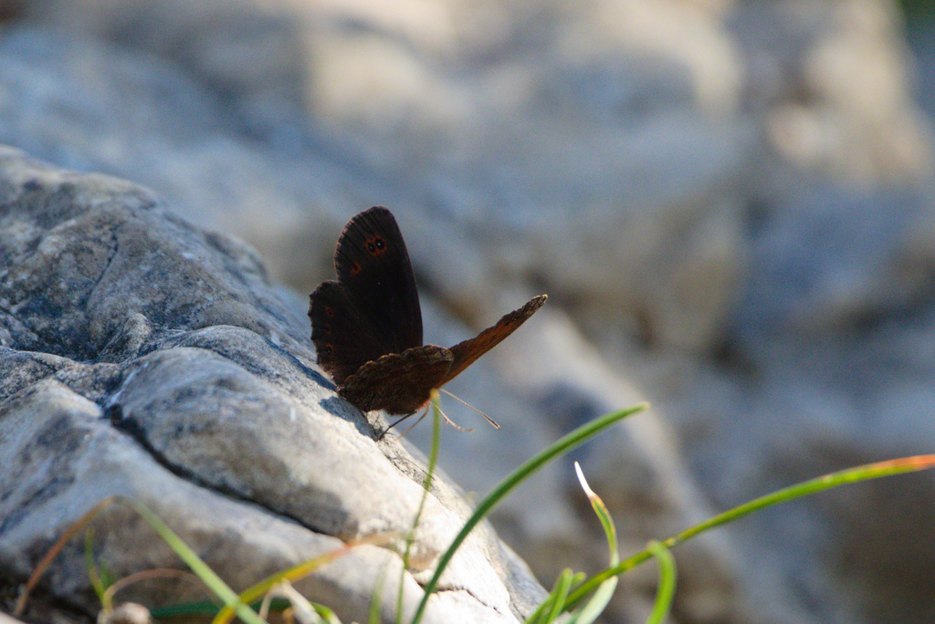Water ringlet from 87561 Oberstdorf, Germany on August 19, 2023 at 04: ...