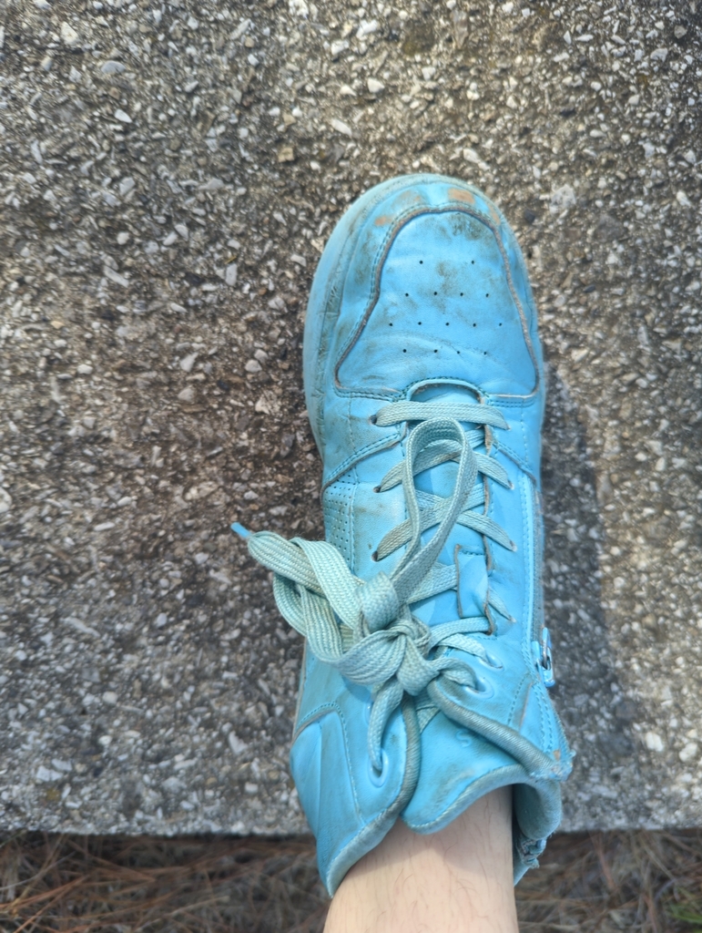 Something from San Mateo County, US-CA, US on August 29, 2023 at 09:07 ...