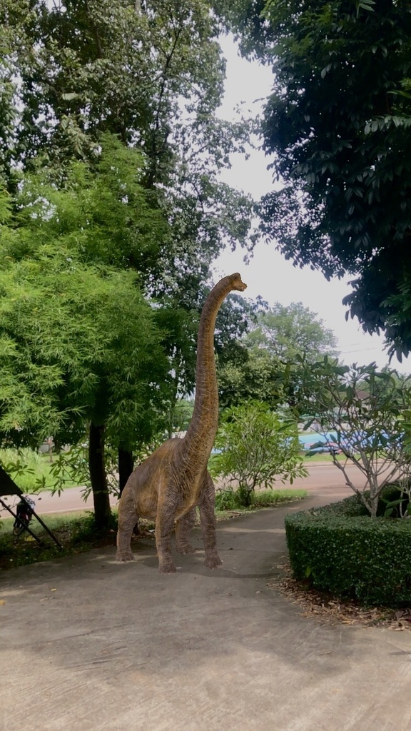 Neosauropoda in September 2023 by dek1reem · iNaturalist