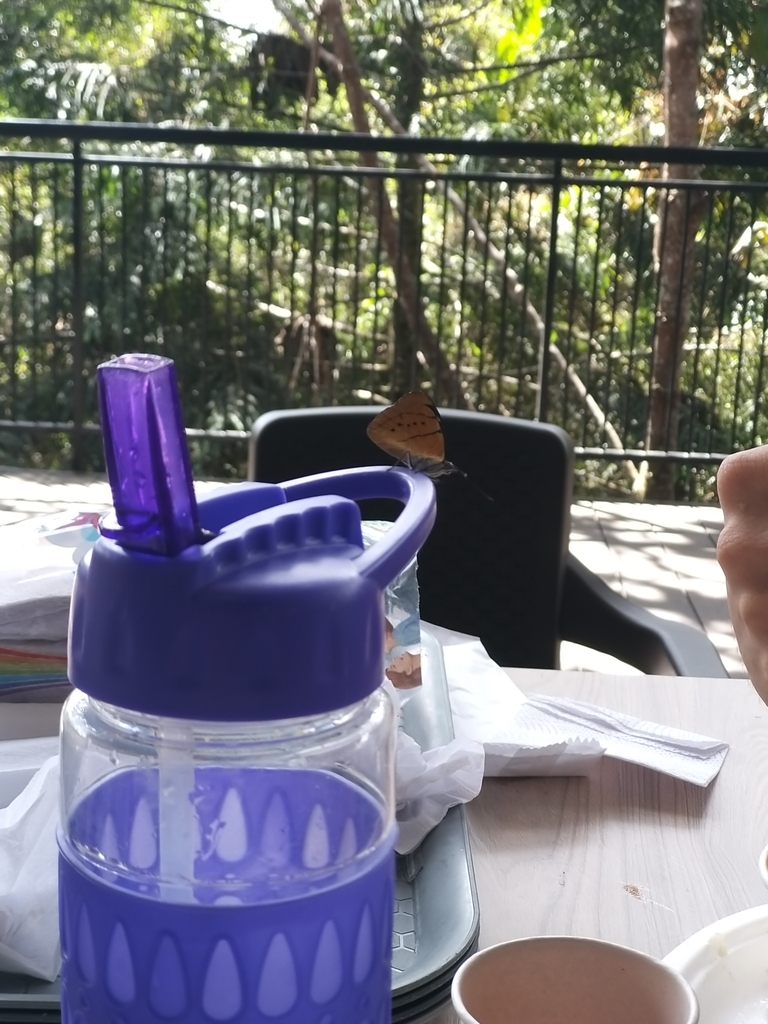 Vague Numberwings from 7G83+MR, Medellín, Santa Elena, Medellín ...