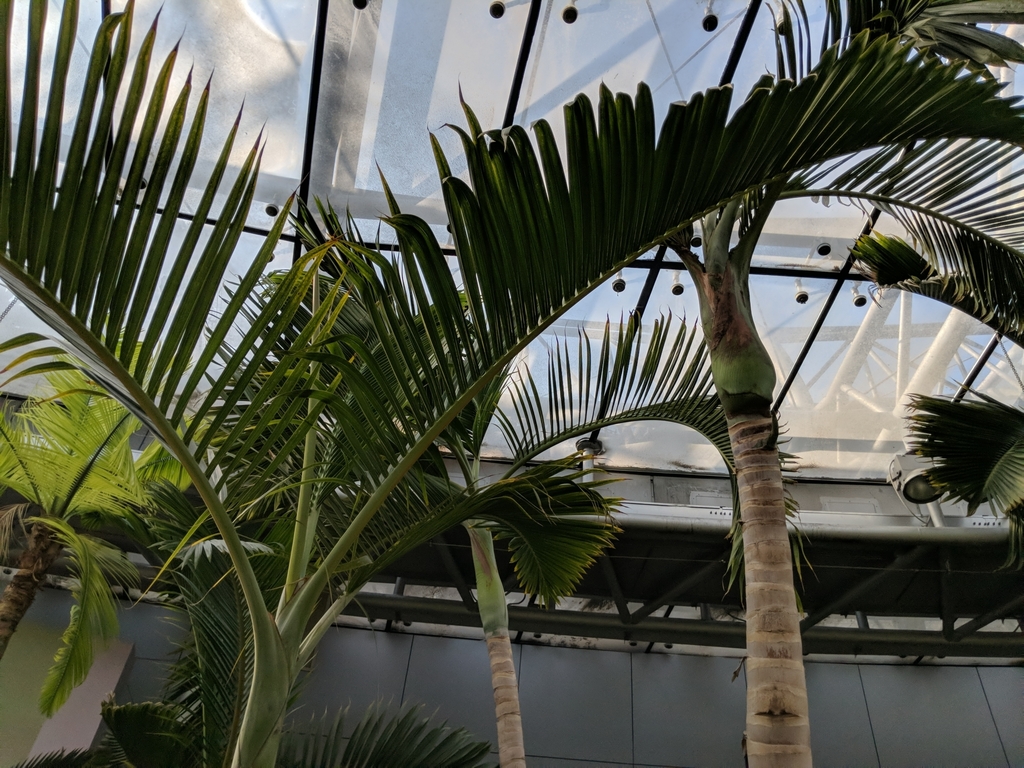 flowering plants from Beijing, Beijing, CN on February 24, 2019 at 02: ...