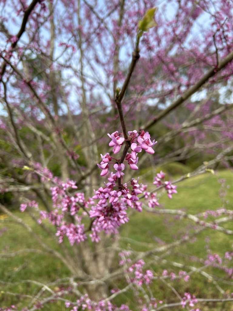 Something from Shoalhaven - Pt B, AU-NS, AU on September 15, 2023 at 08 ...