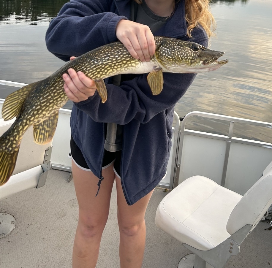 Northern Pike from Minnewaukan Lake, Sturgis, MI, US on September 17 ...