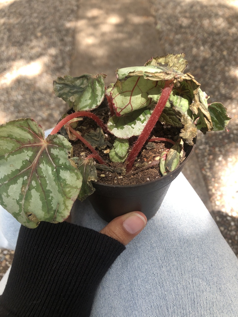 Something from University of Houston, Houston, TX, US on September 20 ...