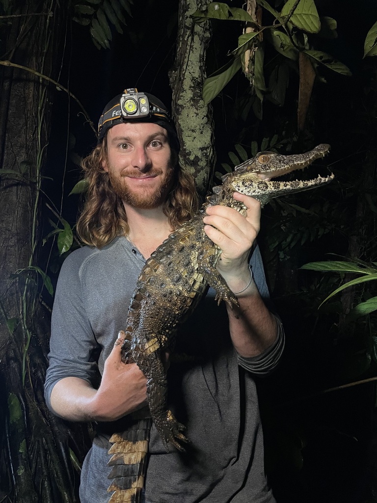 Schneider's Dwarf Caiman in June 2021 by Sean Rowan Laughlin · iNaturalist