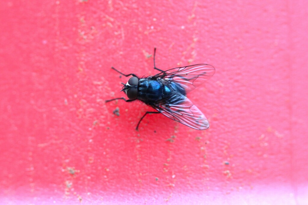 Helina from Melbourne VIC, Australia on September 27, 2023 at 06:29 PM ...