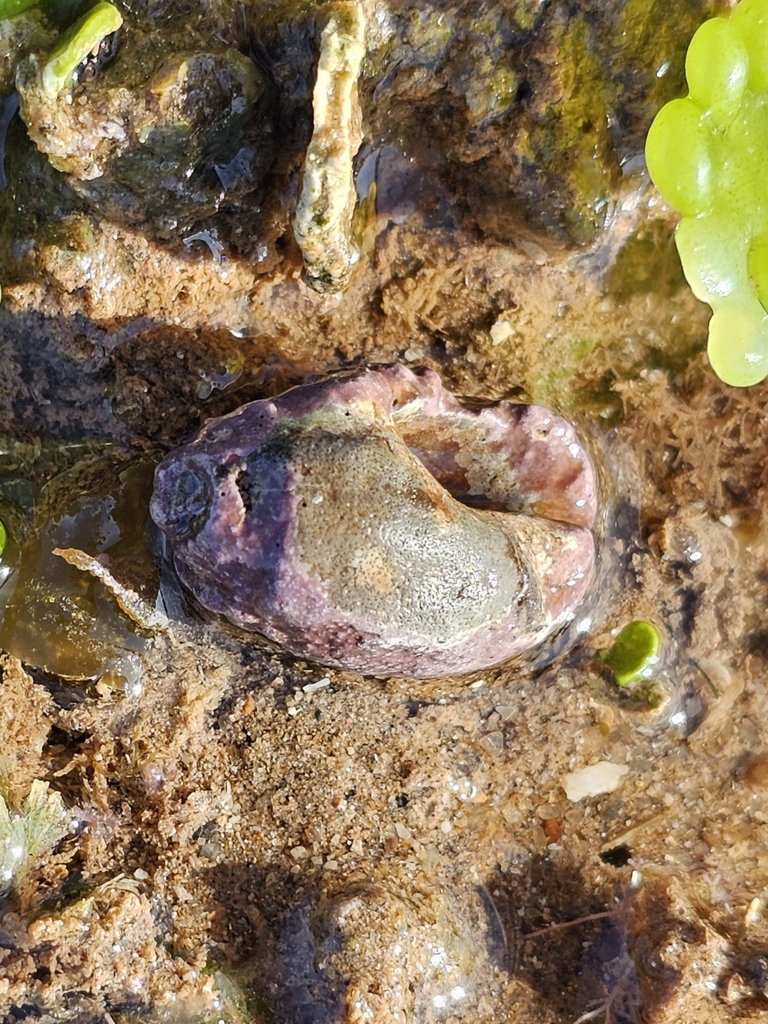Thais from Port Hedland, AU-WA, AU on September 28, 2023 at 04:01 PM by ...