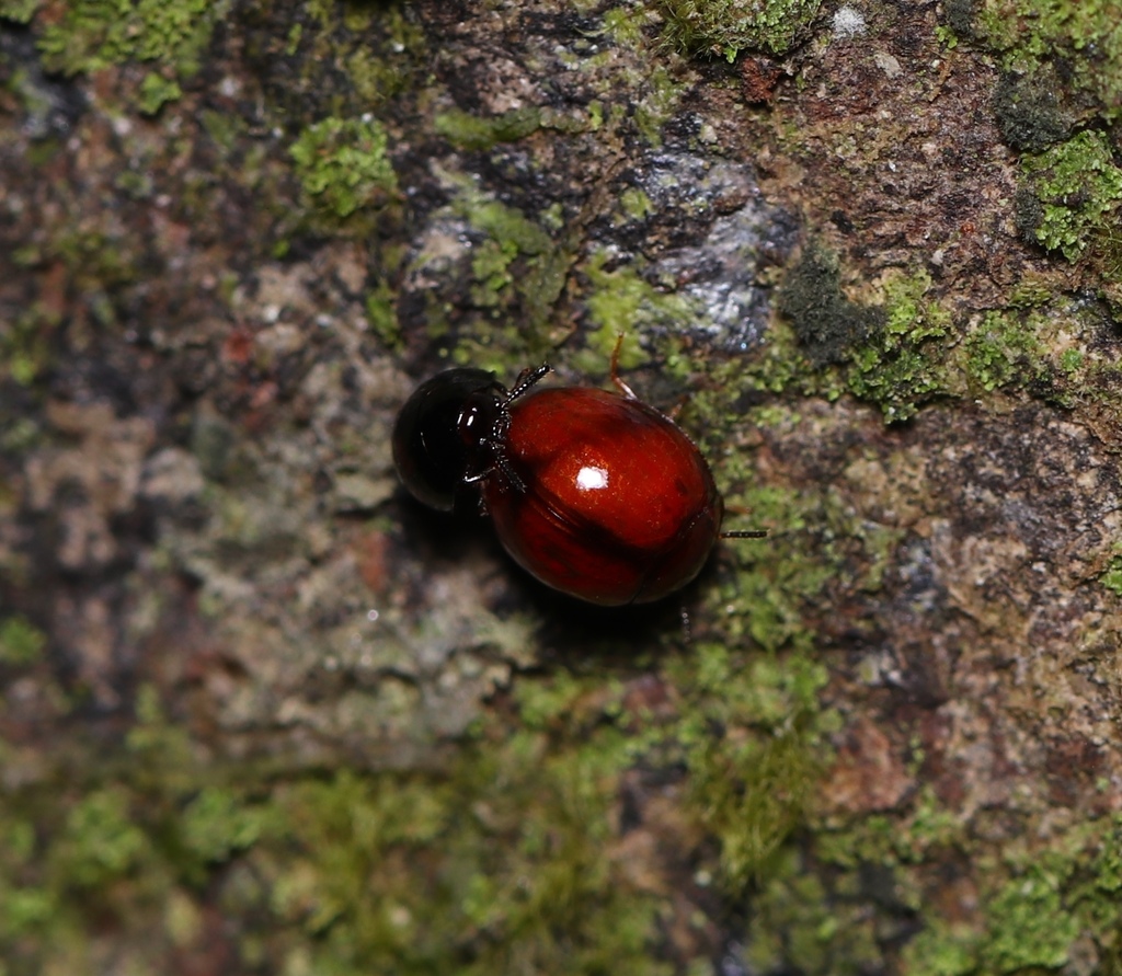 Derispia from Bishan, Singapore on September 30, 2023 at 10:49 AM by ...