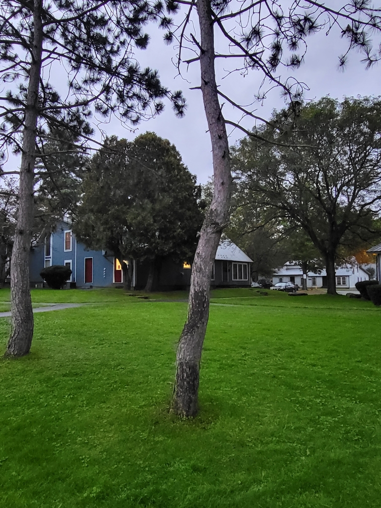 Something from Amherst, MA on September 24, 2023 at 06:35 PM by Jeremy ...