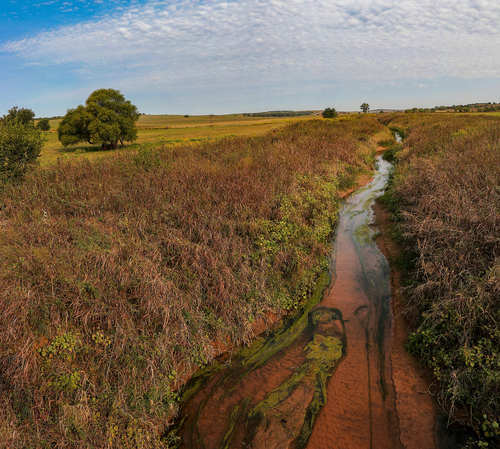 Observations by deanna97037 · iNaturalist