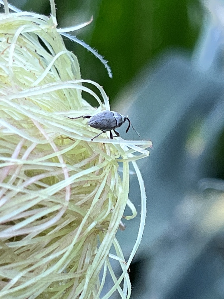 Geraeus from Juanacatlán, Jal., MX on September 9, 2023 at 06:06 PM by ...