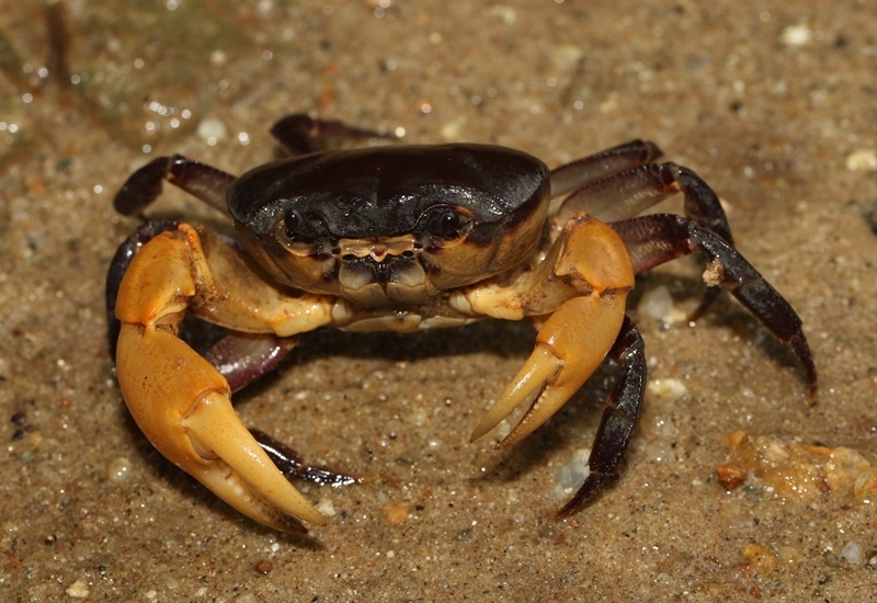 Mahatha from Budugekanda, Sri Lanka on October 12, 2023 at 03:17 PM by ...