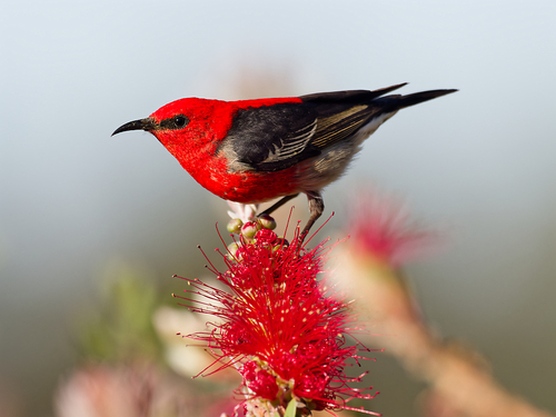 Photo 332233289, (c) Alan Dunn, all rights reserved, uploaded by Alan ...