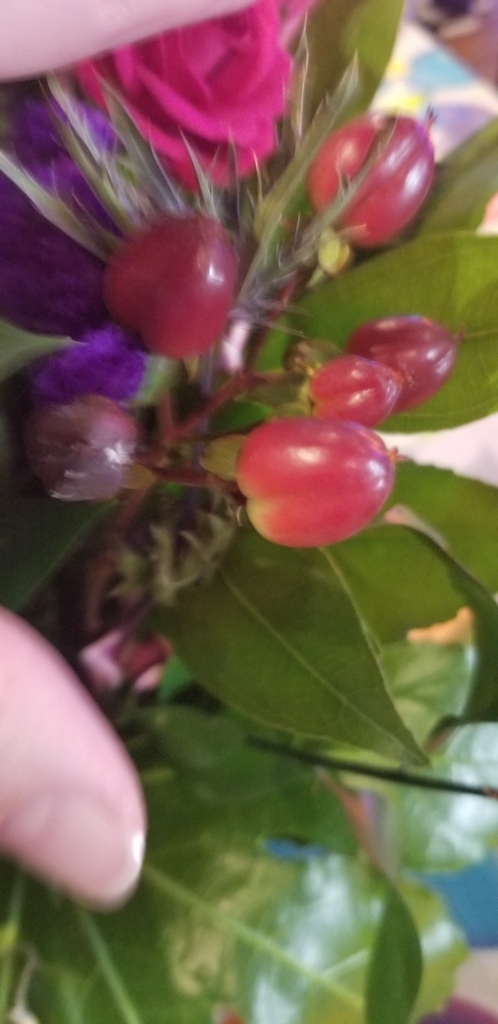 Something from Granbury, TX, USA on November 3, 2023 at 09:20 AM by ...