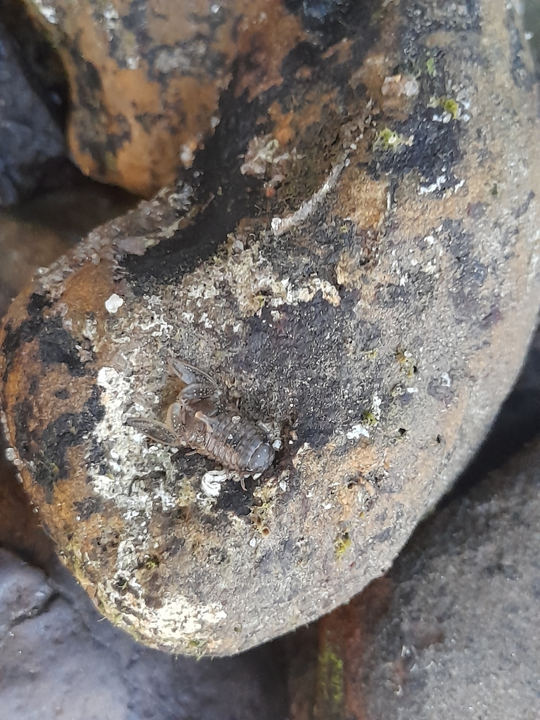 Zuzara from City of Bayside, VIC, Australia on November 10, 2023 at 08: ...