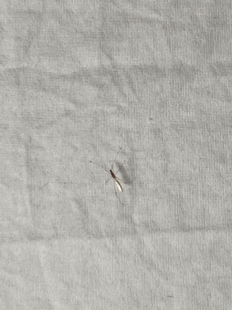 Jalysus from NW Military Hwy, San Antonio, TX, US on November 16, 2023 ...