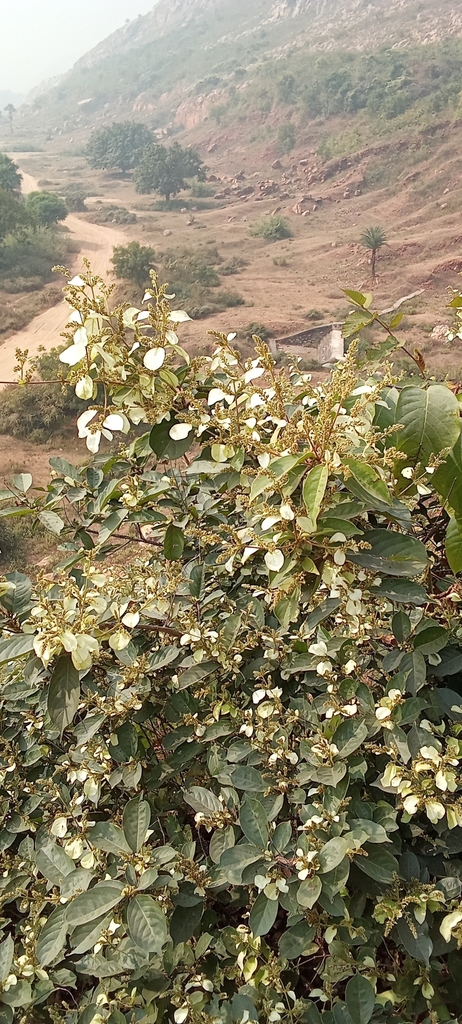Something from Uday Giri Digamber Jain Temple -3 on November 26, 2023 ...