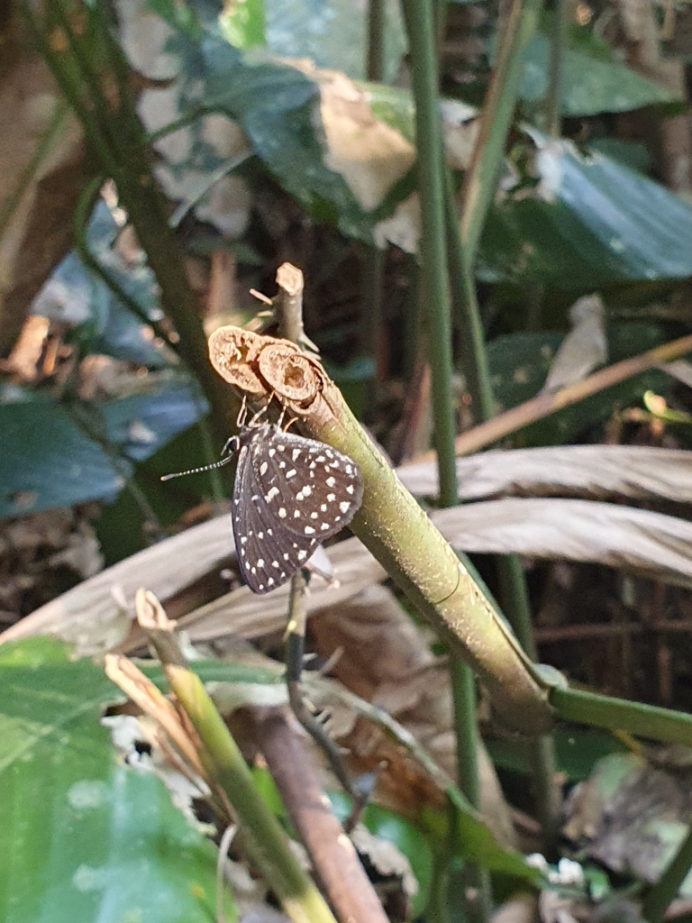 Helna from Ouesso, Republic of the Congo on November 27, 2023 at 04:05 ...