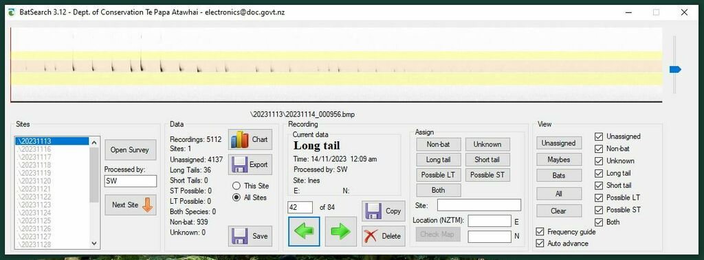 Long-tailed Wattled Bat in November 2023 by pokaka · iNaturalist