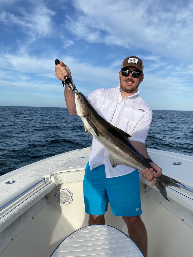 Cobia from Gulf of Mexico, US on January 2, 2023 at 08:42 AM by Garren ...