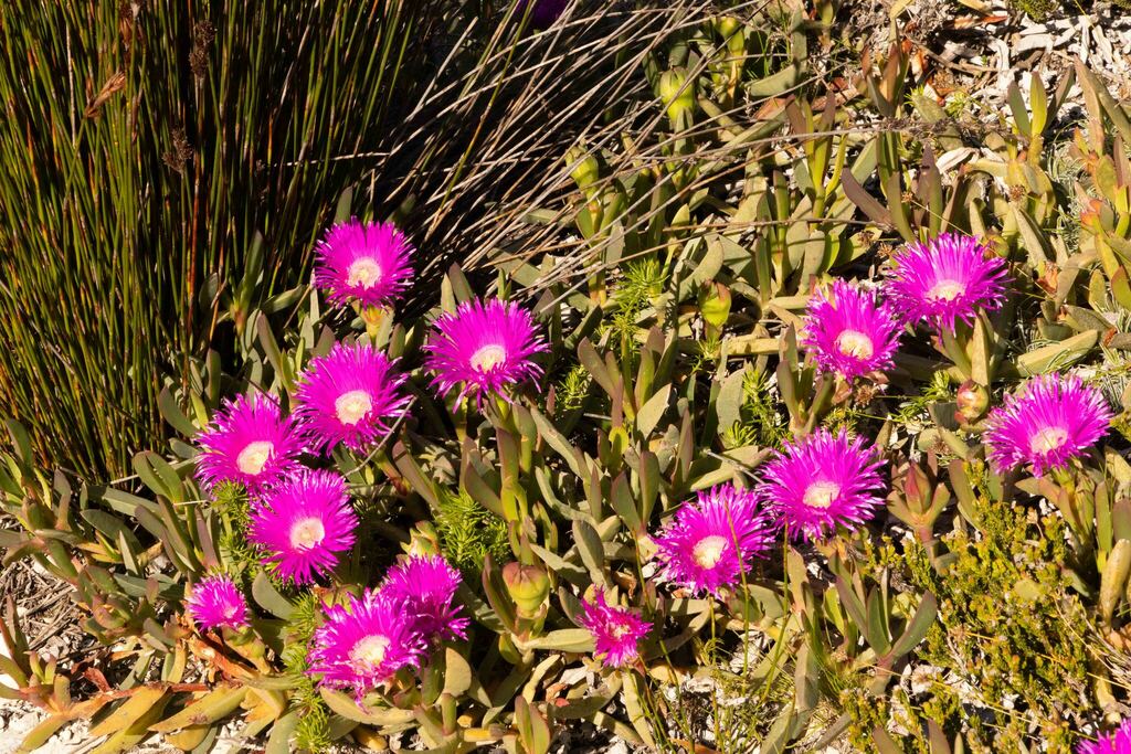 Sally-my-handsome from L'Agulhas, 7287, South Africa on September 13 ...