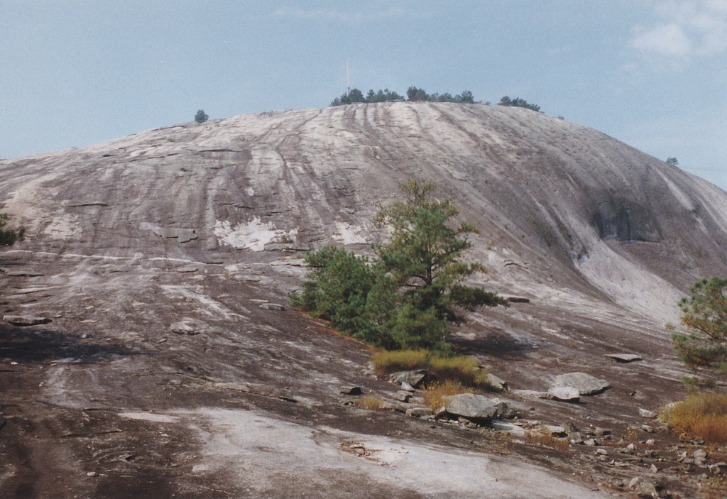 pines from Stone Mountain Georgia on September 26, 1998 by Jeff ...