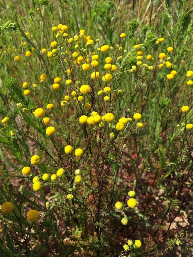 stinknet from 92124, San Diego, CA, US on April 02, 2019 at 01:57 PM by ...