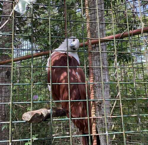 Observations by itscharlotsexy · iNaturalist