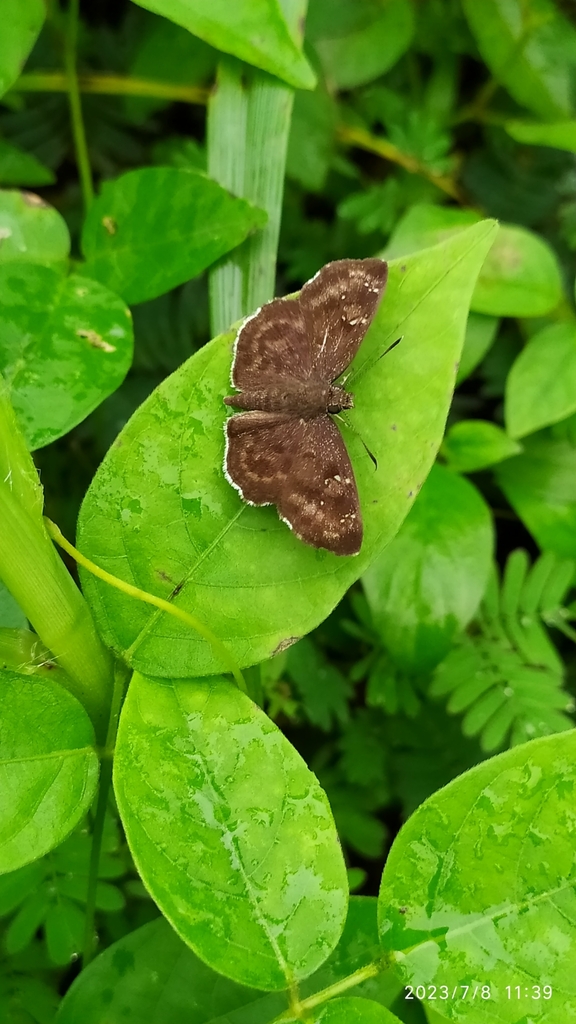 Common Small Flat from X9RV+JX9, Parassinikadavu, Kerala 670563, India ...